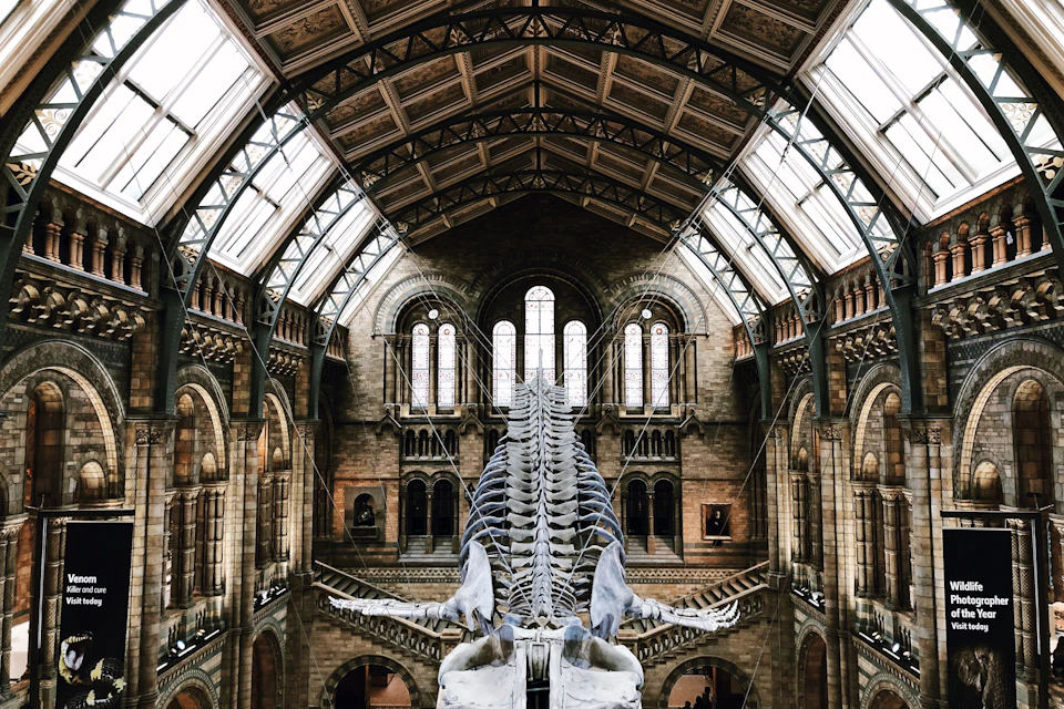 London Tickets — compare London attraction tickets